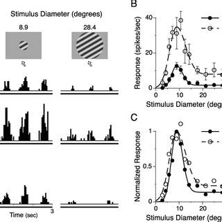 A B Schematic Illustration Of Stimulus Size Tuning Curve And Download Scientific Diagram