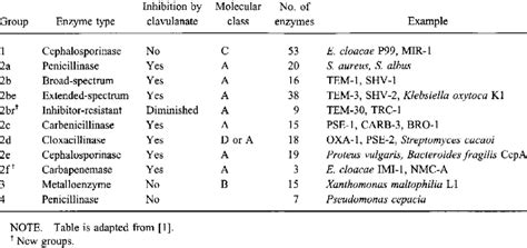 Beta Lactamase Functional Classification
