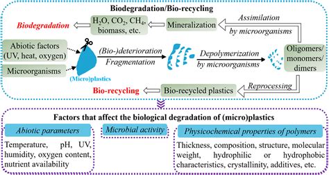 阿德莱德大学王少彬教授、南昆士兰大学王浩教授团队《prog Mater Sci》综述：环境中的微塑料问题和战略解决方案中国聚合物网科教新闻