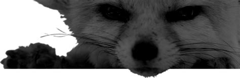 Mounting Luks Encrypted Drives Disk Images And Partitions Thereof By Karma Medium