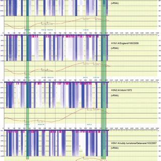 The Same Calculation As Figure 3 Of The Thermodynamic Stability Of The Download Scientific