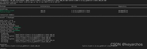 KeyarchOS适配lustre客户端 CSDN博客