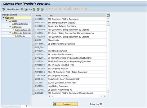 Odp1 Sap Tcode Dip Profile