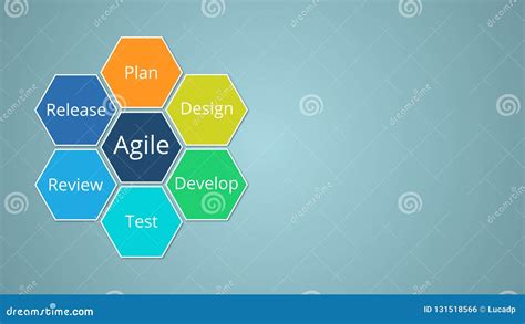 Agile Project Management Development Methodology Infographic Agile