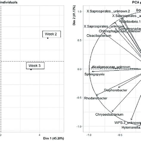 PCA Of Microbial Community Patterns Of The Four Sampling Times Download Scientific Diagram