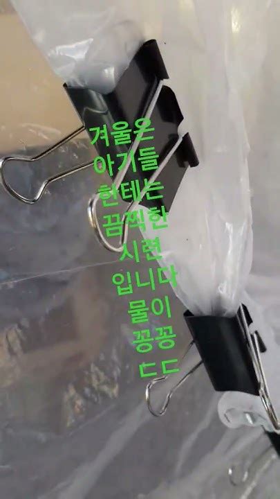 지난 밤이 너무 추웠습니다 따듯한 봄이 어서 왔으면 좋겠어요 Youtube