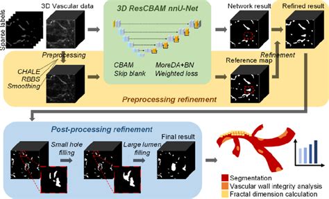 Figure From Deep Learning Based Vessel Extraction In D Confocal Microscope Images Of Cleared