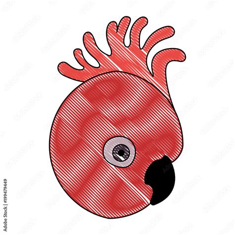 Gang Gang Cockatoo Australian Bird Head Stock Vector Adobe Stock