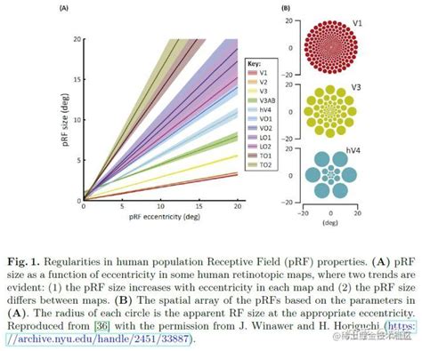 Object Detection Model Rfbnet A Very Useful Model Moment For
