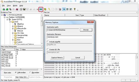 The Capture Memory Feature