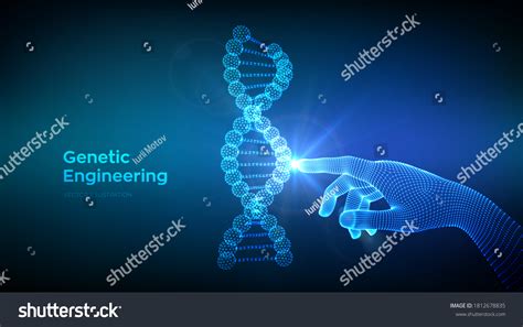 Hand Touching Dna Sequence Molecules Structure Stock Vector Royalty Free 1812678835 Shutterstock