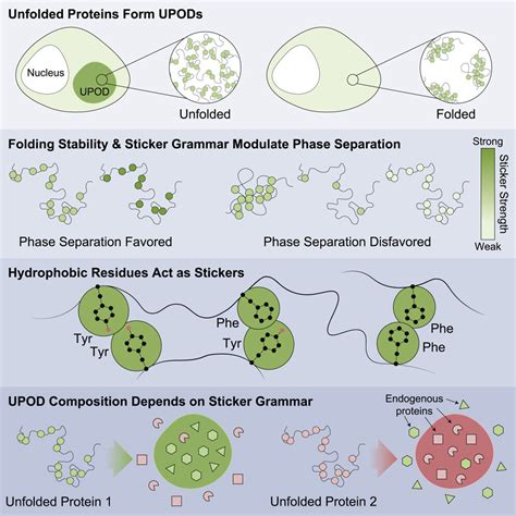 protein aggregation biotechnology at michael yazzie blog