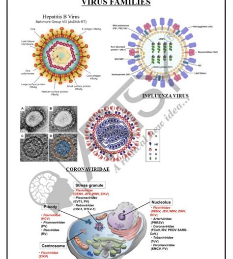 Bio Chemistry Chart