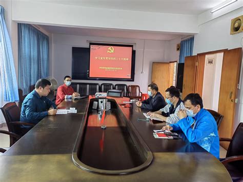 岭背市场监管所党支部深入学习宣传贯彻党的二十大精神 阳山县政府门户网站