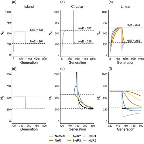 Effect Of Subpopulation Extinction On Metapopulation Effective Size Download Scientific Diagram