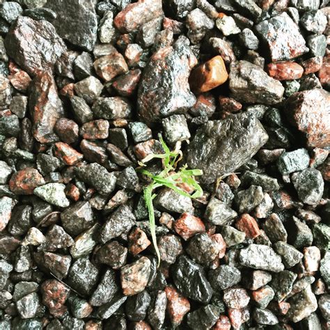 무료 이미지 아이폰 록 잎 꽃 생기게 하다 마노 흙 자료 파편 자갈 인스 타 그램 아르헨티나 Iphoneography 250 Project365