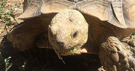 Program Hello World Album On Imgur