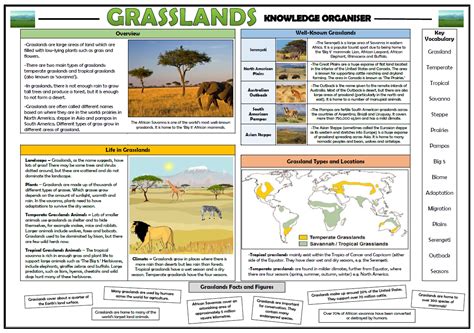 Grasslands Knowledge Organiser Teaching Resources
