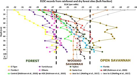 Bulk soil δ 13 C records for the seven soil profiles as well as Download Scientific