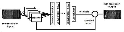 The Proposed Single Image Super Resolution Network Architecture For Download Scientific Diagram