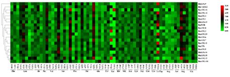 Heat Map Of Relative Synonymous Codon Usage Analysis Rscu Values Of
