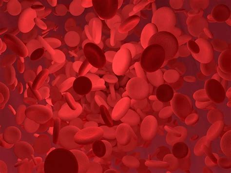 Rdw Blood Test Heres Everything You Need To Know Credihealth