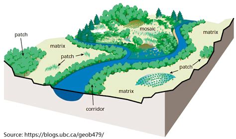 Landscape Heterogeneity