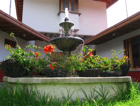 Stunning Focal Points For Your Backyard