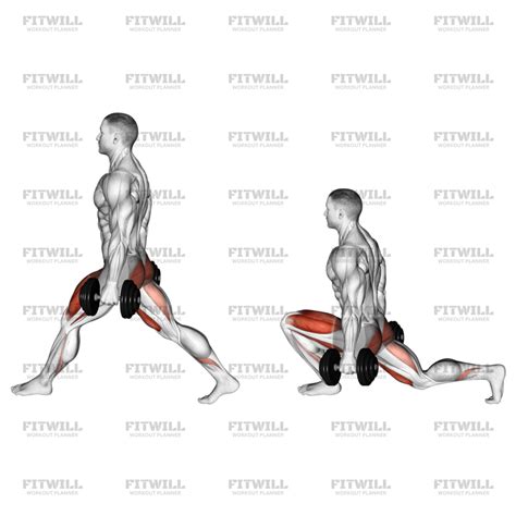 Dumbbell Low Split Squat Exercise Guide Video Techniques Benefits