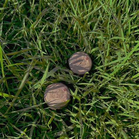 하우스온더데스크 🌿 무당벌레가 살고 있는 나무 기둥 나무 표면을 재현한 마스킹 테이프와 테이프를