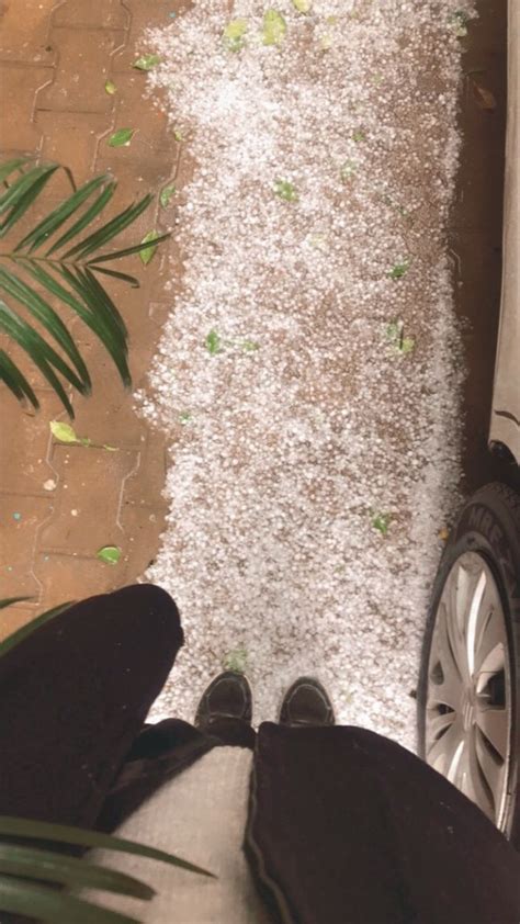 Neha Katoch On Linkedin Snowfall Winterwonderland Mohali