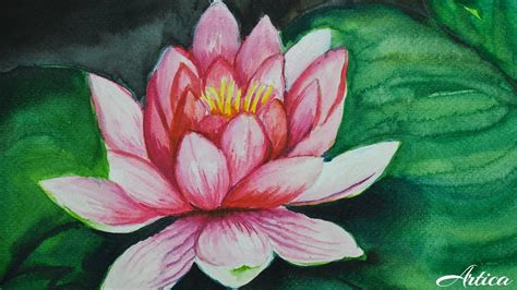 Watercolor Lotus Flower Drawing Best Flower Site