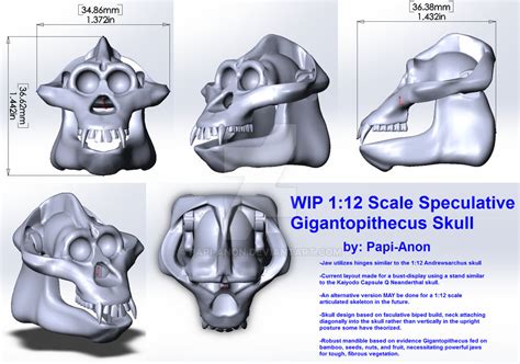 Wip 1 12 Scale Gigantopithecus Skull Preview 1 By Papi Anon On Deviantart