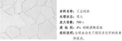 金相制样、金相组织与金相检验