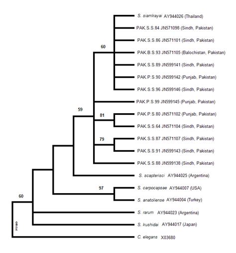 A 12s Rdna Gene Analysis Bayesian Analysis Showing Posterior