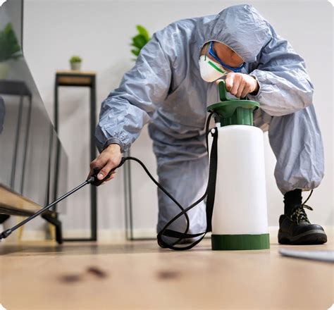 Spiders Pest Control Nsw Pest Control Sydney