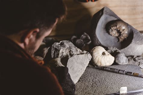 2025 Fossil Preparation Lesson The Yorkshire Fossil Hunter