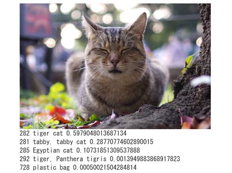Introduction To Deep Learning