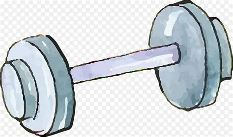 矢量手绘哑铃器材png图片素材下载图片编号ywwpnkxw 免抠素材网