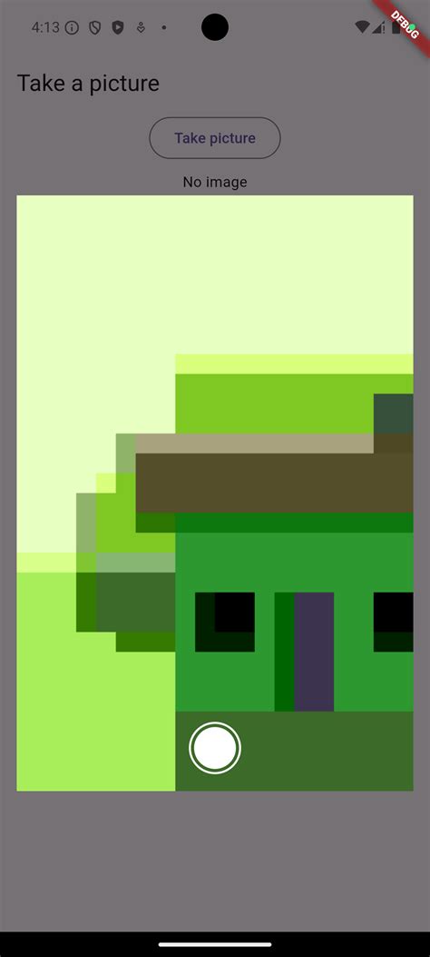 Flutterpicturetaker Flutter Package