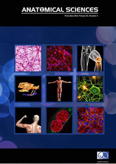 Magiran Anatomical Sciences Journal، Volume19 Issue 1 Winter Spring 2022