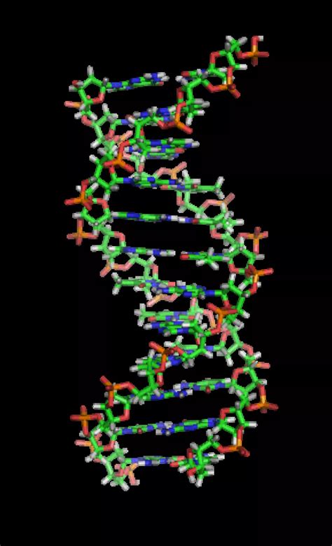 19 Facts About Dna Computing Factsnippet 19 Facts About Dna Computing Factsnippet