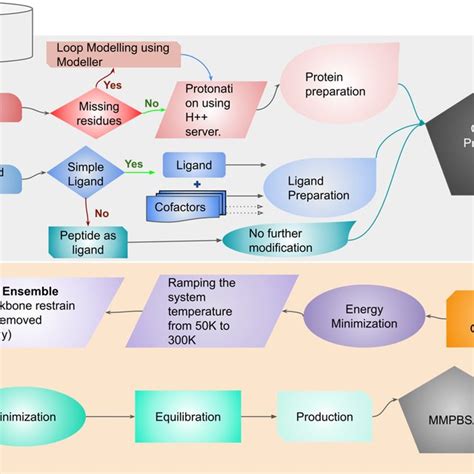 Protocol For Input Preparation And Simulations Download Scientific