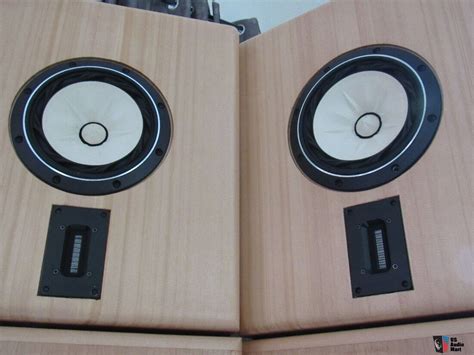 Basszilla Platinum Edition Mkii Speaker Sitka Spruce Photo 1345521