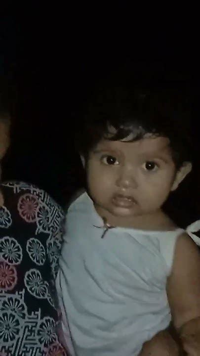 ফনিমনসা ফুল ক্যাকটাস ফুল Foryou Follow Everyone Highlights Cactus Flowers Flower Youtube