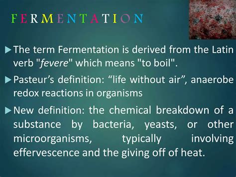 Bioprocess And Fermentation Technology Pdf