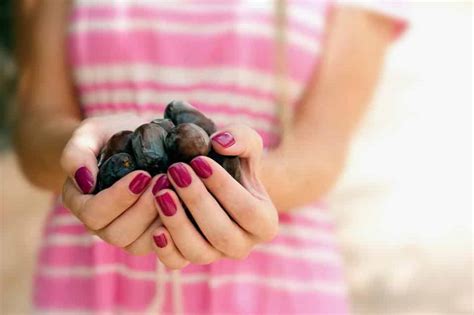 Eating Dates During Pregnancy Benefits For Birth Beyond Baby Chick