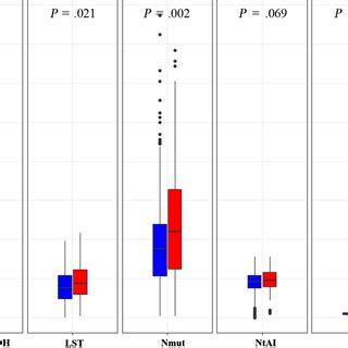 Correlations Between DDR Deficiency And Genomic Instability A Download Scientific Diagram