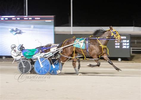 Grace Rocks Resumes Her Roll At Rosecroft Harnesslink