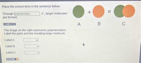 Solved Place The Correct Term In The Sentence Below Through [polymerization I Larger Mo